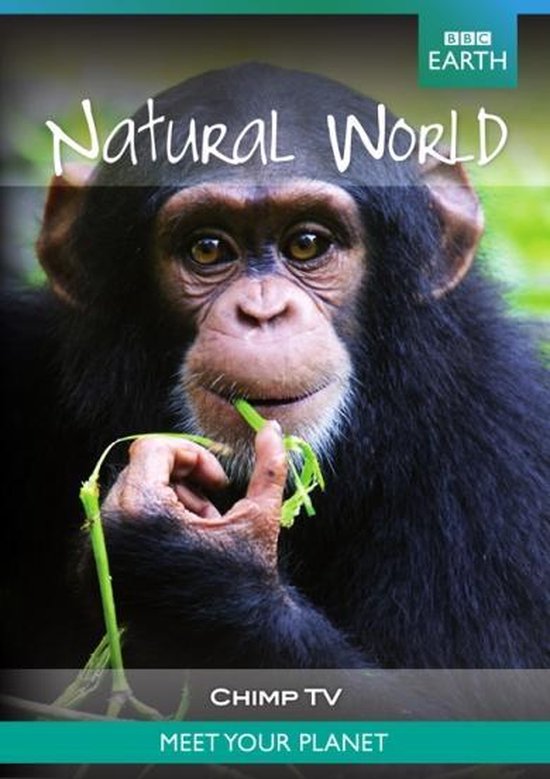 BBC Earth - Natural World Natural World Collection Chimp TV (DVD) (Dvd ...