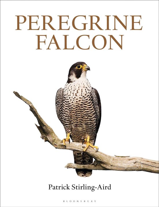 Peregrine Falcon (ebook), Patrick Stirling-Aird | 9781472918673 ...