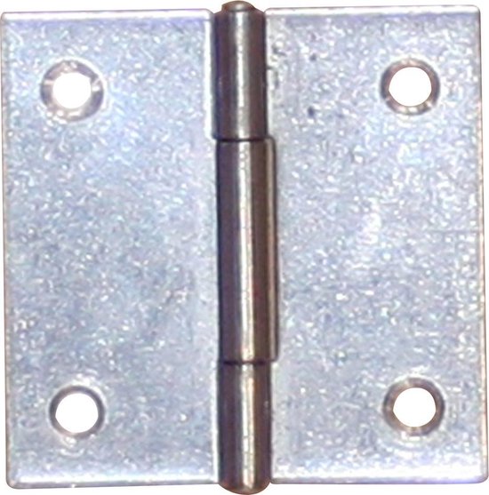 Qlinq Scharnier met Vaste Pen - RVS - 40 x 40 mm | bol.com