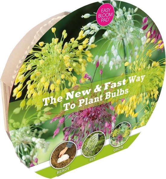 Easybloompad Allium Fireworks Mix | bol.com