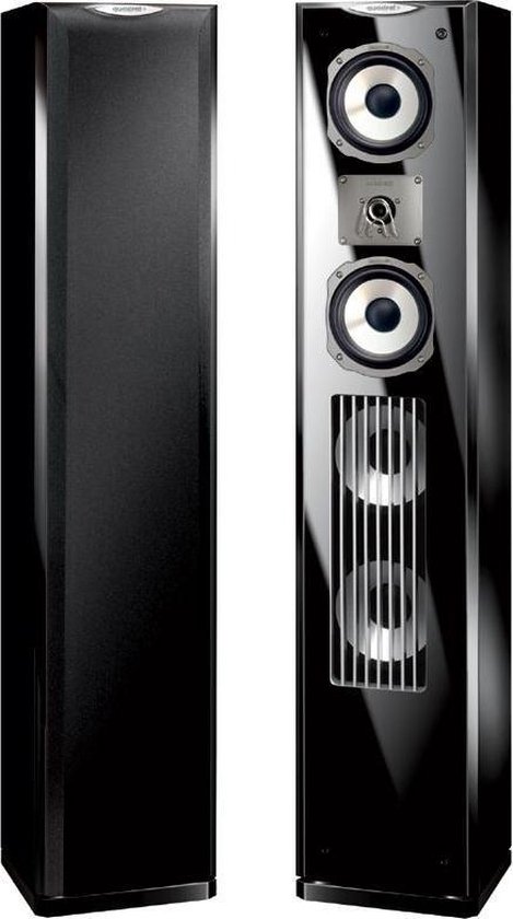 Quadral Platinum M5 3-weg 160 W Zwart Bedraad | bol