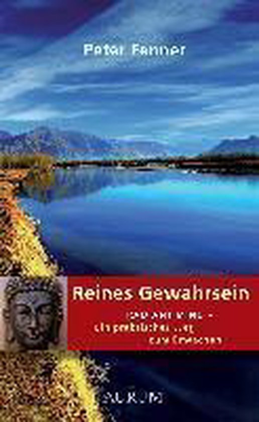 Reines Gewahrsein, Peter Fenner | 9783958831254 | Boeken | bol.com