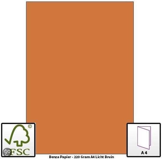 Benza Hobbykarton om zelf wenskaarten te maken 220 Gram - A4 ...