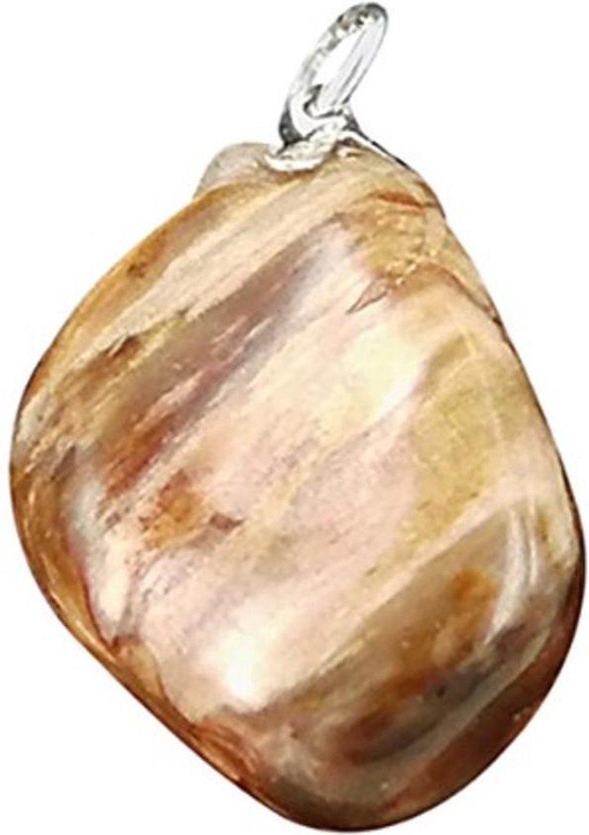 Ruben Robijn Versteend hout edelsteen hanger | bol.com