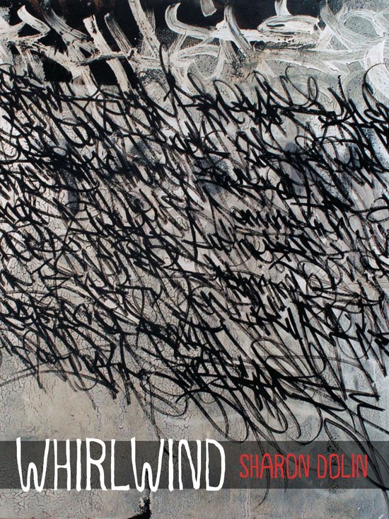 Pitt Poetry Series - Whirlwind (ebook), Sharon Dolin | 9780822978404 ...