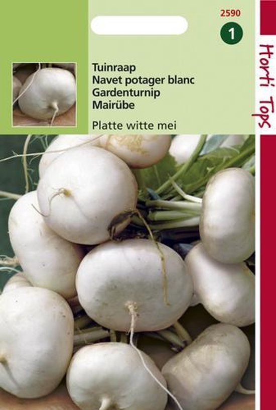 Hortitops Zaden - Rapen Platte Witte Mei | bol