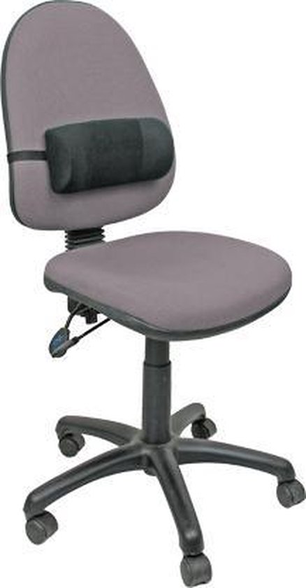 PORTABLE LUMBAR SUPPORT | bol.com