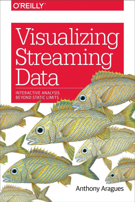 Visualizing Streaming Data (ebook), Anthony Aragues | 9781492031802 | Boeken | bol.com