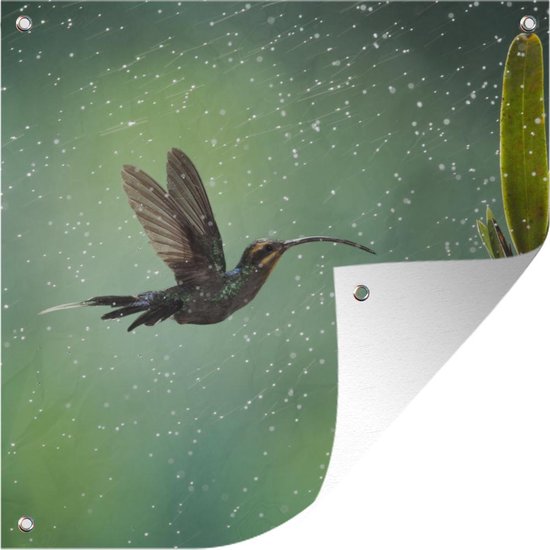 Colibri sous la pluie dans la nature du Costa Rica affiche de jardin ...