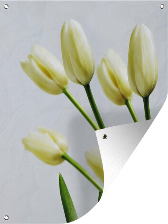 Muurdecoratie buiten Close-up van witte Franse tulpen met een mooie ...