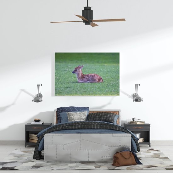 Canvas Art – Canvas Schilderij – Jong Hert Zit Op Het Gras - Zittend ...