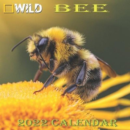 BEE Calendar 2022 | bol.com