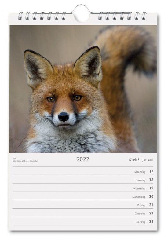 Nederland Natuurland Weekkalender 2022 | bol