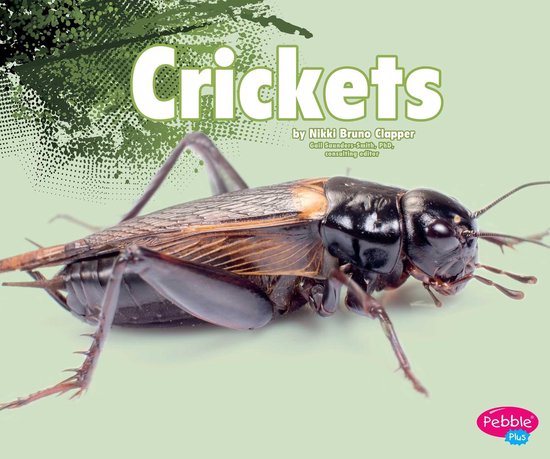 Creepy Crawlers - Crickets (ebook), Gail Saunders-Smith | 9781496624505 ...