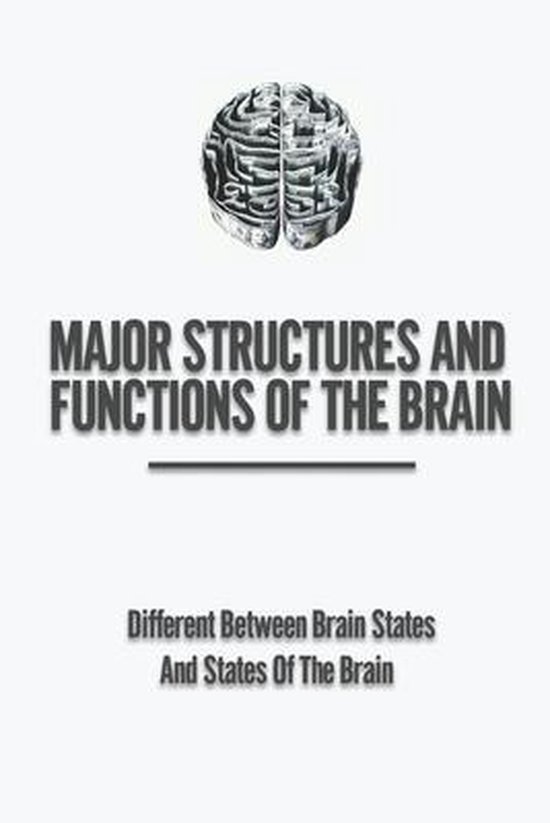 Major Structures And Functions Of The Brain: Different Between Brain ...