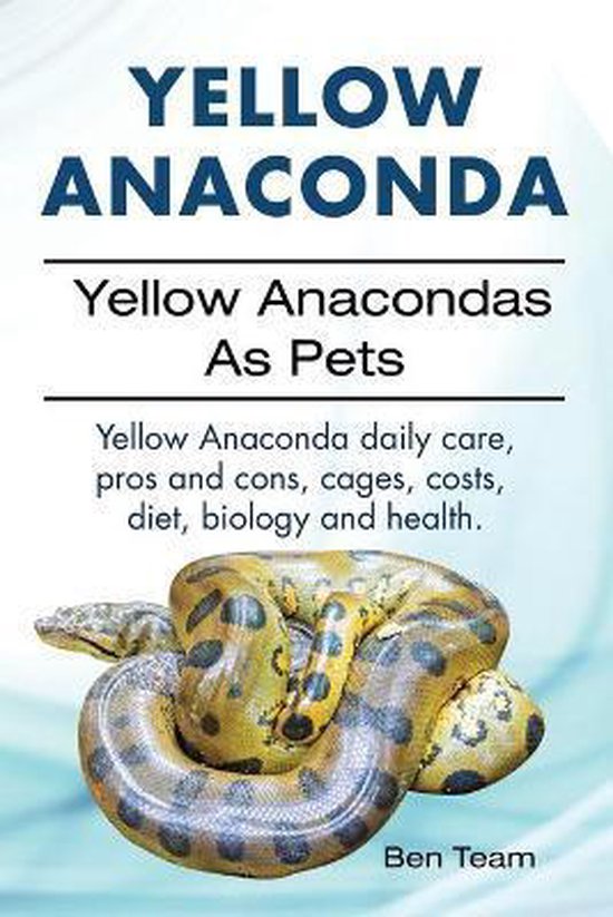 Yellow Anaconda. Yellow Anacondas As Pets. Yellow Anaconda daily care ...