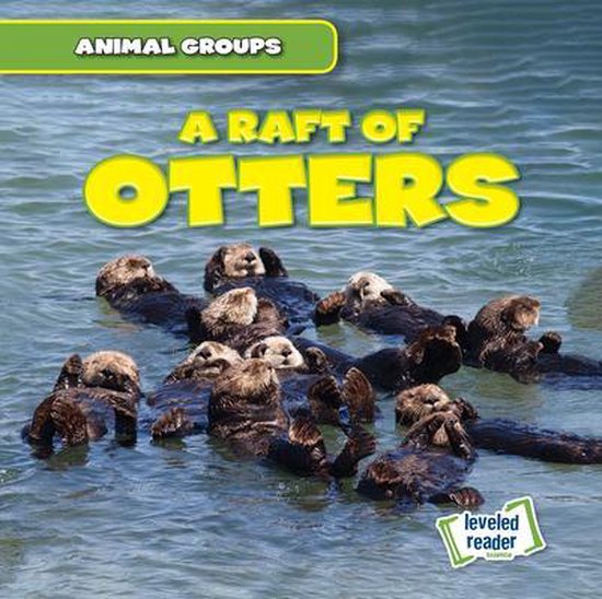 Animal Groups-A Raft of Otters, Seth Lynch | 9781538263556 | Boeken | bol