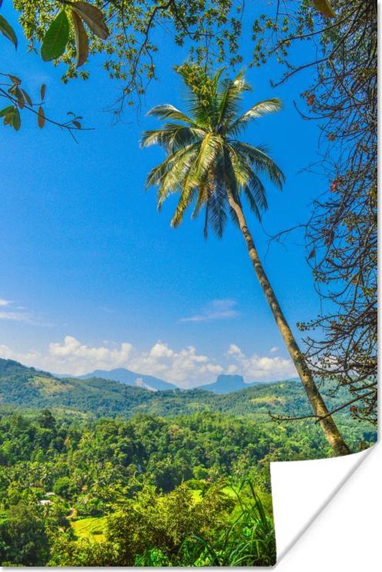 Un palmier fait saillie sur le paysage de Ceylan poster 40x60 cm ...
