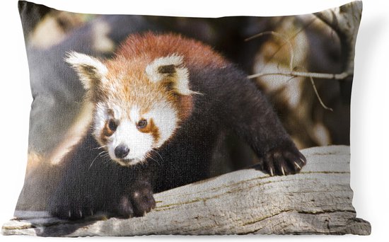 Buitenkussens - Tuin - Kleine rode panda - 50x30 cm | bol