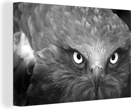 Canvas Schilderij Arend - Zwart - Wit - 60x40 cm - Wanddecoratie | bol