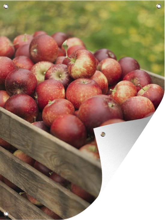 Tuin decoratie Appel - Fruit - Krat - 30x40 cm - Tuindoek ...