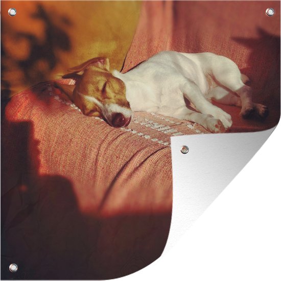 Tuindoek Jack Russel hond aan het genieten - 100x100 cm | bol