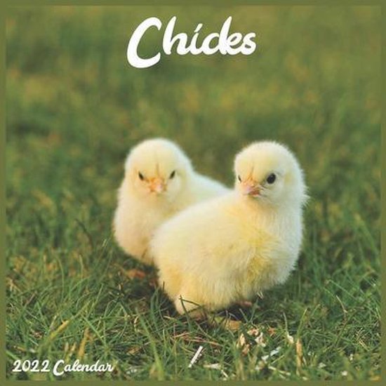 Chicks 2022 Calendar | bol.com