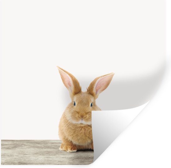 Muursticker kids - Sticker voor kinderen - Kinderkamer decoratie ...