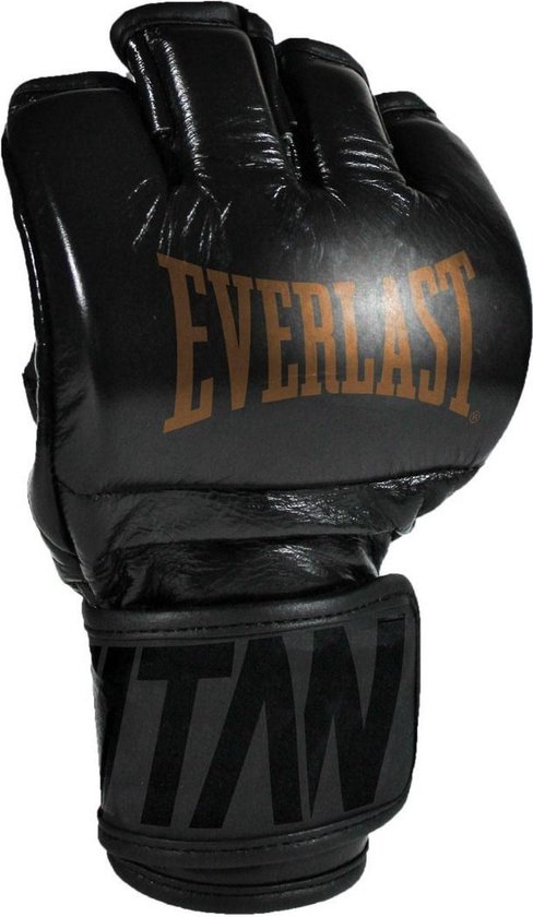 Everlast Titan Pro MMA Gloves - Maat XL | bol