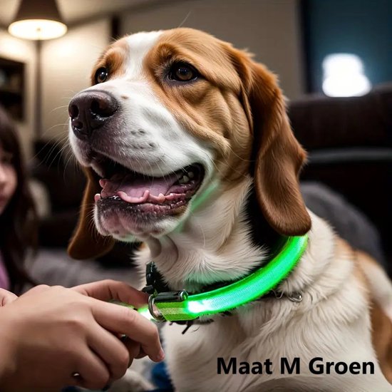 LED Halsband Hond I Honden Halsband I I Glow In Dark Halsbandje Hond I ...