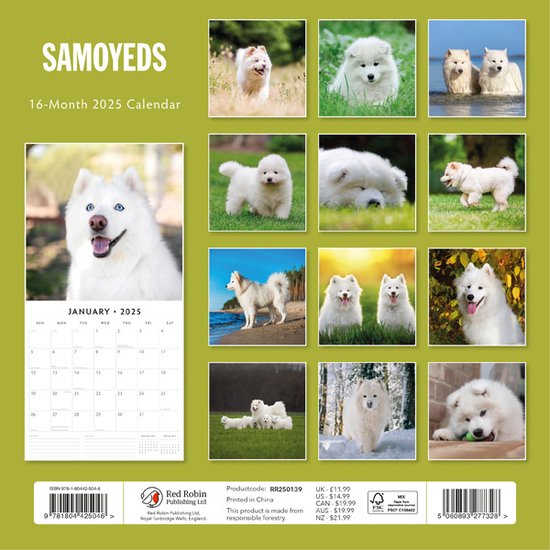 Samojeed Kalender 2025 | bol