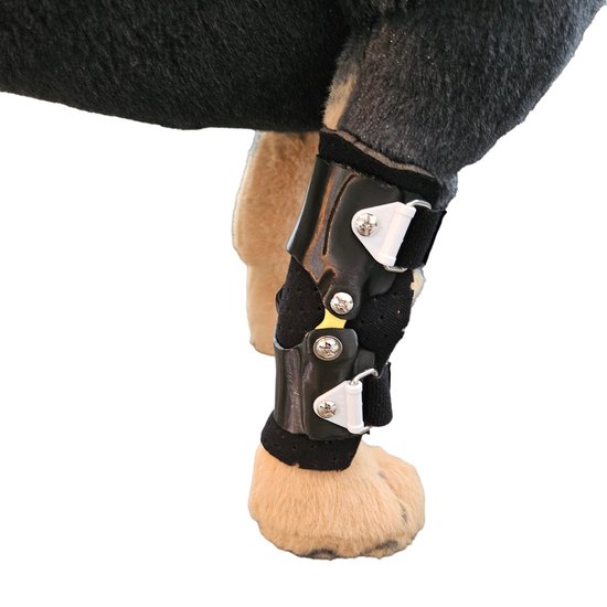 Brace, Hond brace, hond beugels, hond enkel brace, hond spalk, hond ...