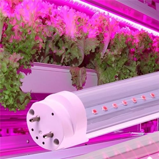 TL LED Buis Groeilamp / Kweeklamp - Full Spectrum - 18 Watt - 120 cm | bol