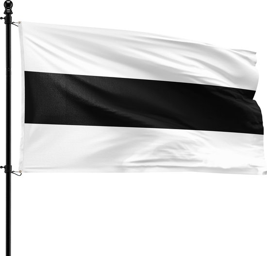 VlagDirect - Delft vlag - Gemeente Delft vlag - 90 x 150 cm. | bol