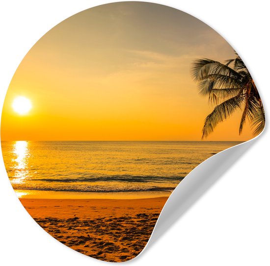 WallCircle - Behangcirkel - Palmboom - Zee - Zon - Strand - Zelfklevend behang - 30x30... | bol