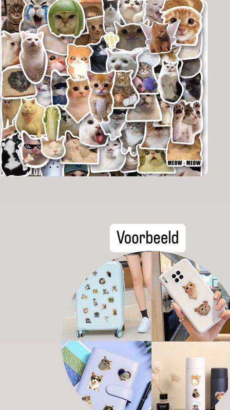 Akyol Grappige Meme Katten Stickers 40 Stuks | Dieren Stickers | Kat Poes Kitten |... | bol