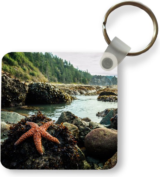 Sleutelhanger - Uitdeelcadeautjes - Zee - Stenen - Zeester - Plastic | bol