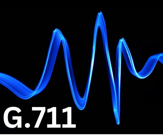 Understanding the G711 Codec (ebook), JOBON CHINEL | 9798227558961 | Boeken | bol