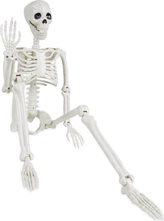 Realistisch Posabel Halloween Skelet - 90 Cm Beweegbaar Menselijk Skelet Voor... | bol