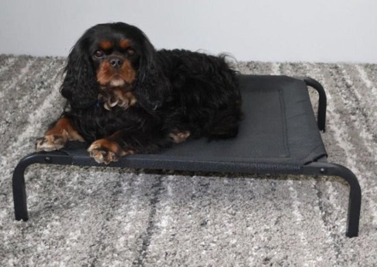 Hondenstretcher - ergonomisch hondenbed - zwart - metalen frame - L ...