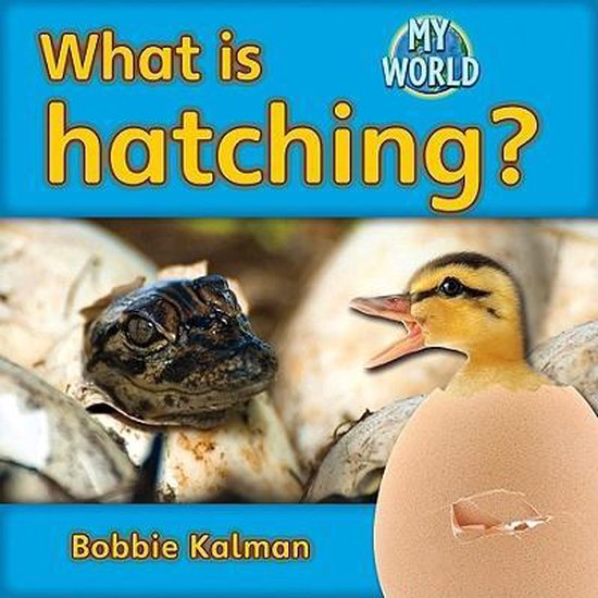 What Is Hatching?, Bobbie Kalman | 9780778795346 | Boeken | bol
