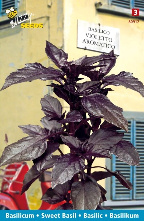3 stuks Basilico violetto aromaticoBuzzy | bol