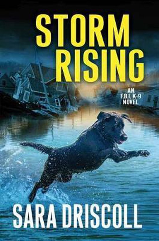 Storm Rising, Sara Driscoll | 9781496704450 | Boeken | bol.com