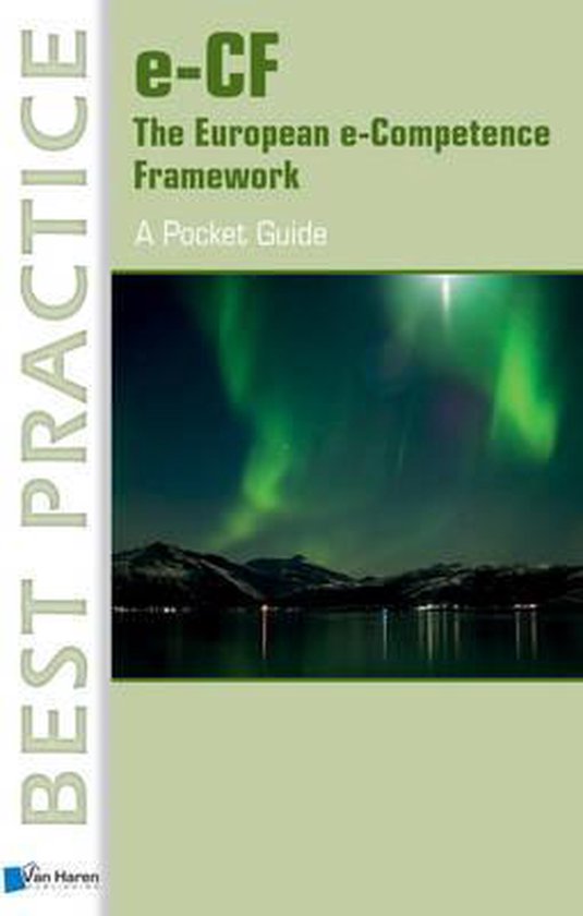 E-CF the European E-Competence Framework | 9789087537180 | CEN | Boeken ...