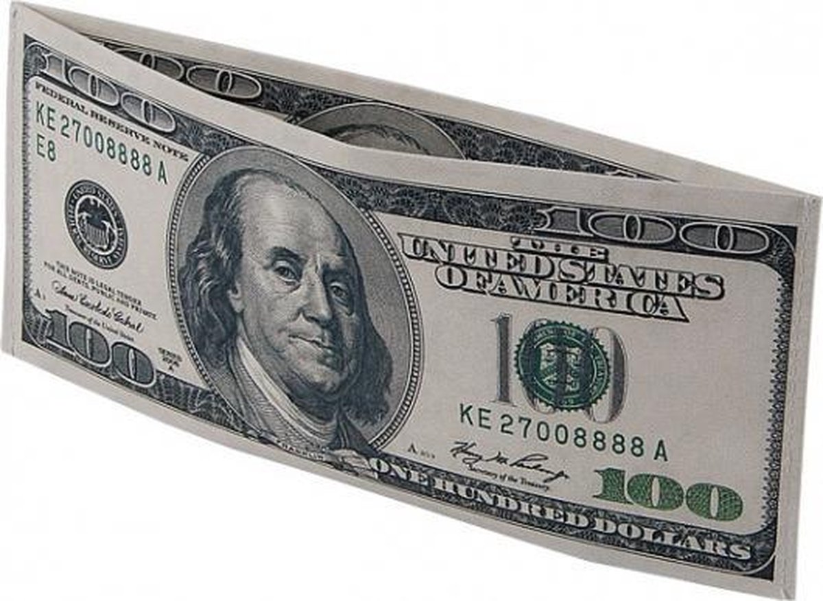 Portemonnee 100 dollar biljet | bol