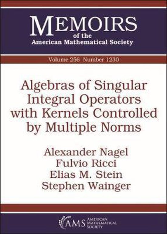 Algebras of Singular Integral Operators with Kernels Controlled by ...