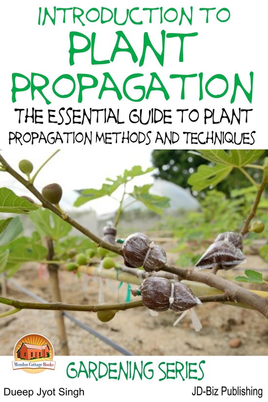 Introduction to Plant Propagation: The Essential Guide to Plant ...