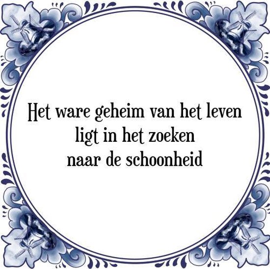 Tegeltje met Spreuk (Tegeltjeswijsheid): Het ware geheim van het leven ligt in het... | bol
