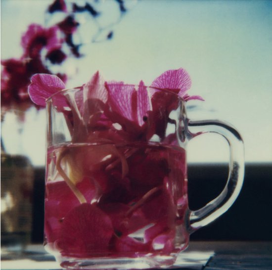 Robby Muller - L.A. Polaroids, Alex Cox, Wim Wenders | 9781913288884 ...