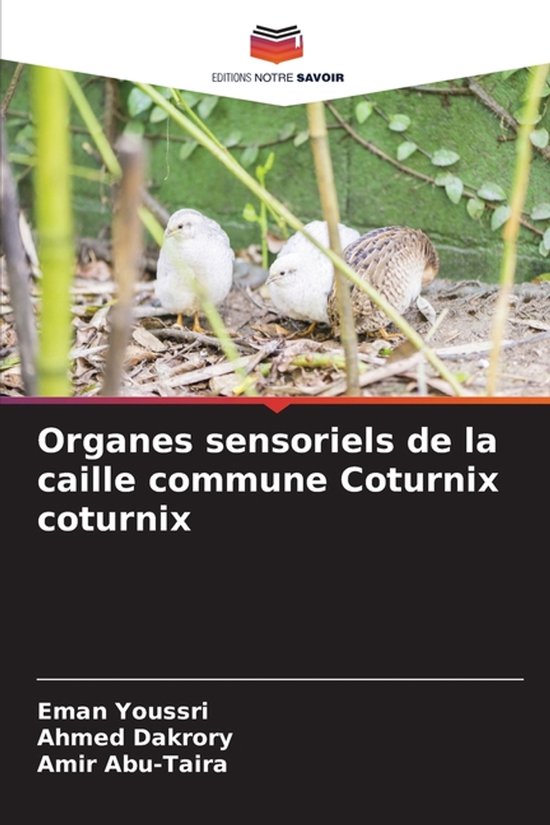 Organes sensoriels de la caille commune Coturnix coturnix ...